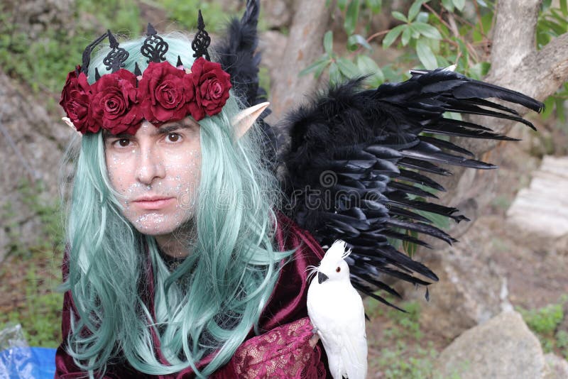 Mythical Male Elf in the Forest Stock Photo - Image of attractive ...