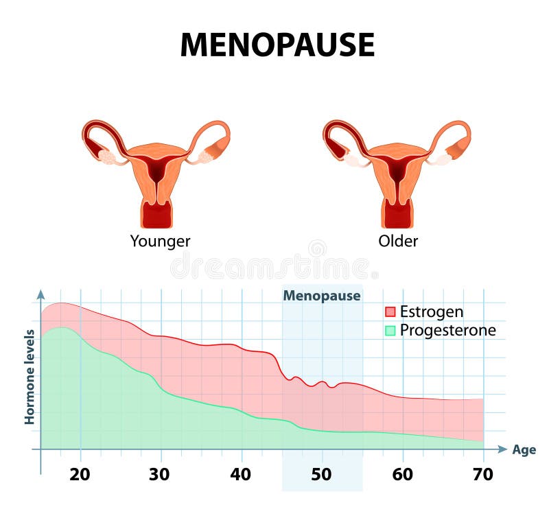 Ménopause Stock Illustrations Vecteurs And Clipart 2 750 Stock