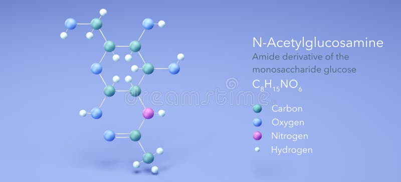 N-acetylglucosamine, Molecular Structures, Monosaccharide Glucose, 3d ...