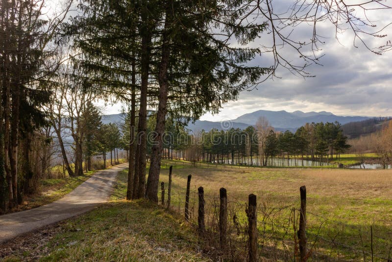 N Beautiful Country Landscape Hills Trees Stock Photo - Image of hills ...