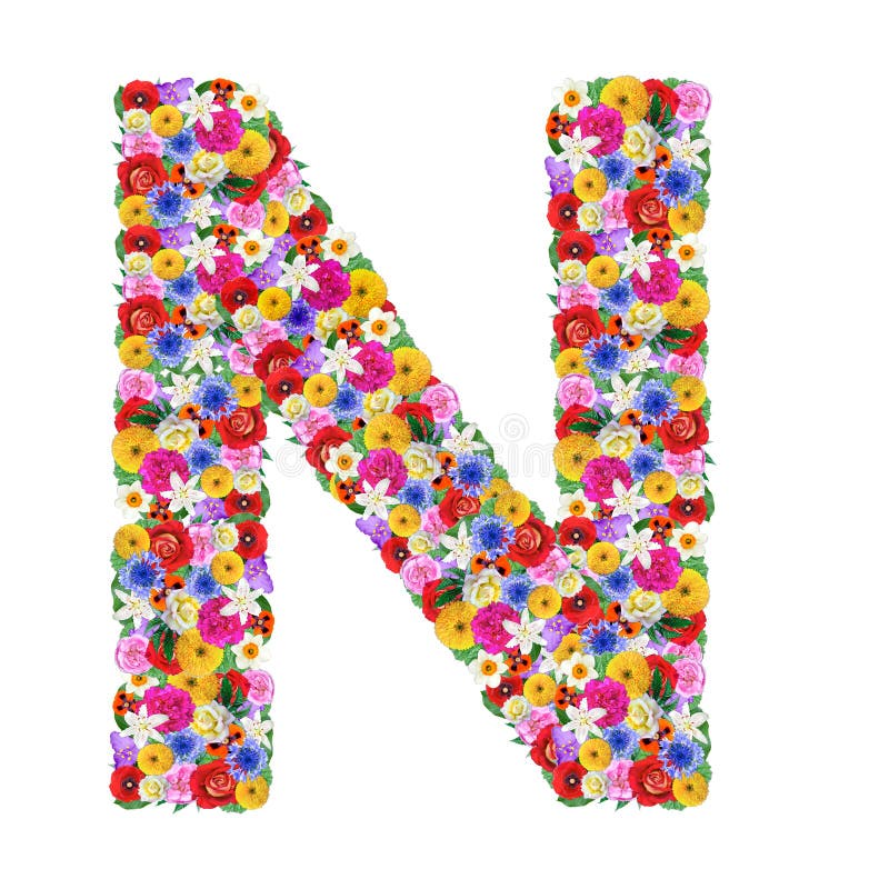 Letter N Daisy Stock Photos - Free & Royalty-Free Stock Photos from ...