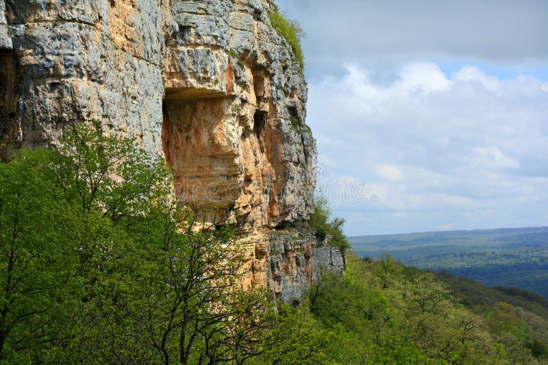 Vertical Mountain Front with Forest at the Root Stock Image - Image of ...