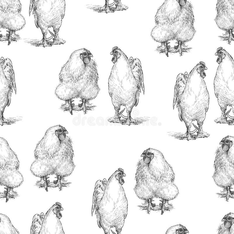 Naadloze Achtergrond Van Schetsen Van Hanen En Kippen Vector ...
