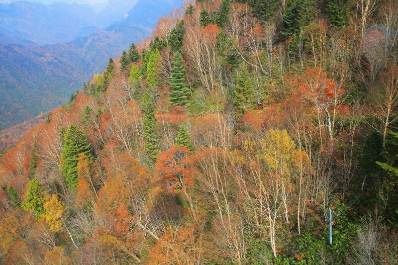 A Nabehirakogen , Takayama Japan Mount Hotaka 31 Oct 2013 Stock Photo ...