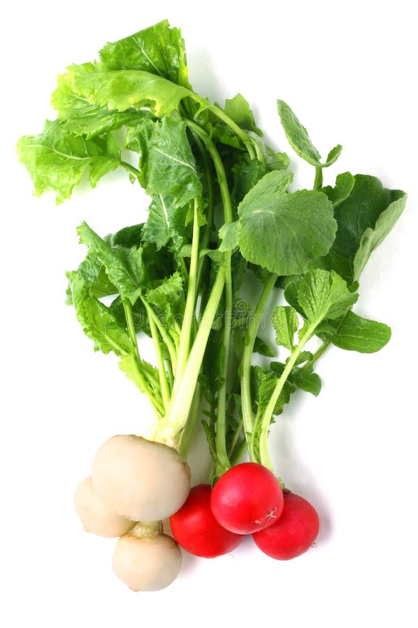 Raizes vegetais do nabo imagem de stock. Imagem de ingrediente - 46352315
