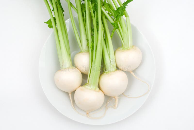 Nabo imagen de archivo. Imagen de fresco, materiales - 19604745