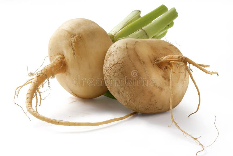 Nabo imagen de archivo. Imagen de nabo, alimento, aislado - 26377299