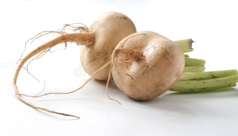 Nabo fresco foto de stock. Imagem de branco, fundo, isolado - 43146444