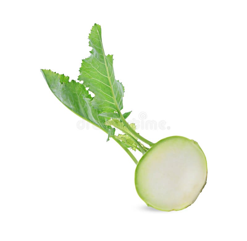 Nabo Aislado Sobre Fondo Blanco Imagen de archivo - Imagen de ...