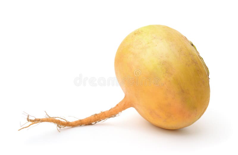Nabo amarillo en estudio foto de archivo. Imagen de redondo - 130778012