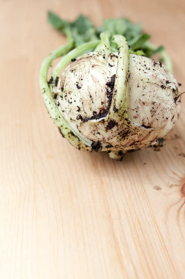 Colinabo Y Nabo Un Fondo Blanco Foto de archivo - Imagen de estudio ...