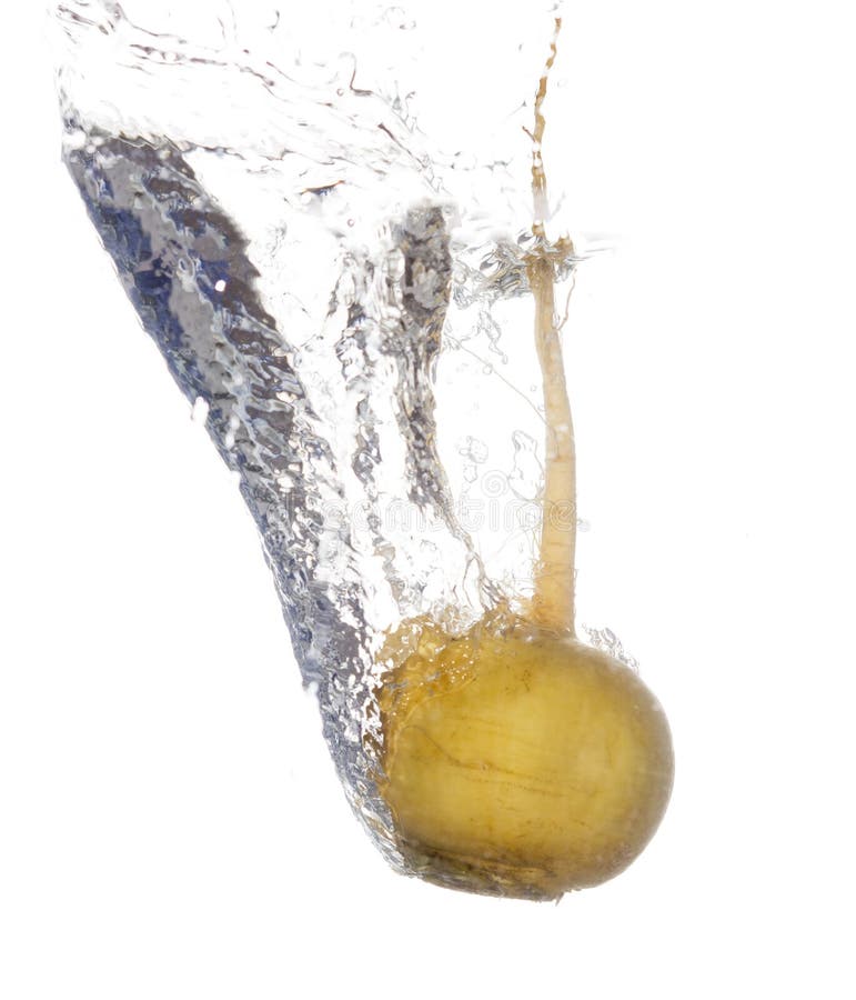 Nabo En El Agua Aislada En El Fondo Blanco Imagen de archivo - Imagen ...