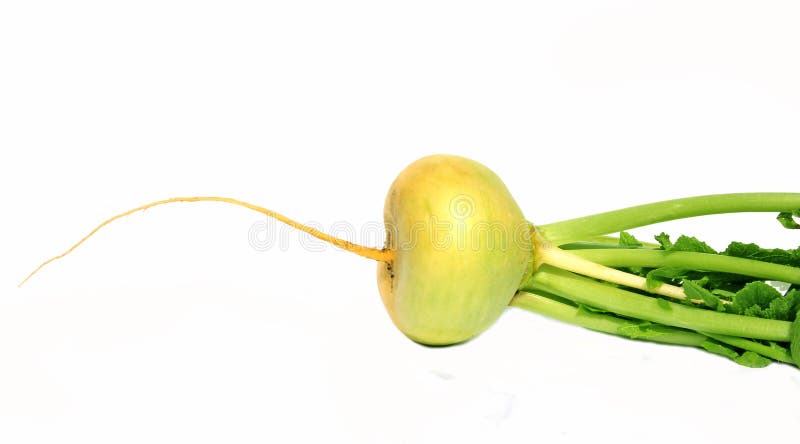 Nabo fresco foto de stock. Imagem de branco, fundo, isolado - 43146444