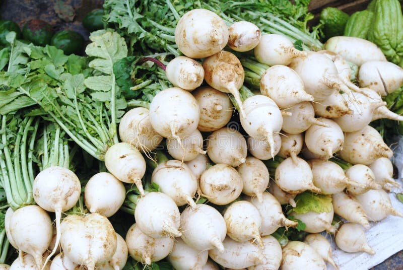 Pequeños Nabos Jovenes Frescos Imagen de archivo - Imagen de hojas ...