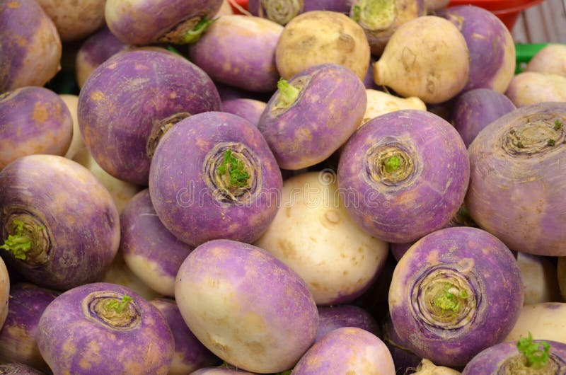 Nabos imagen de archivo. Imagen de crudo, sano, tubérculo - 31552699