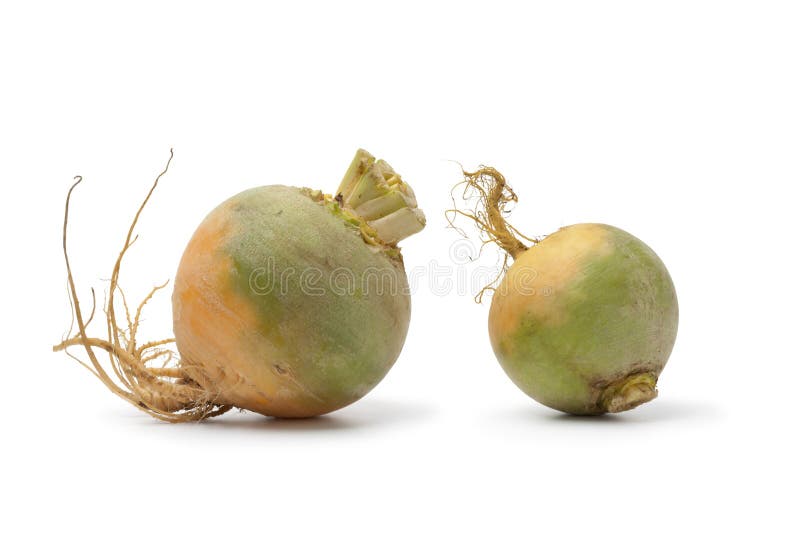 Nabos amarillos imagen de archivo. Imagen de blanco, amarillo - 22326327