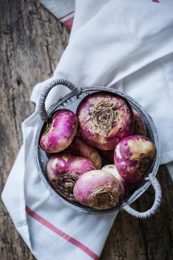 Nabos blancos foto de archivo. Imagen de hoja, travieso - 69098452