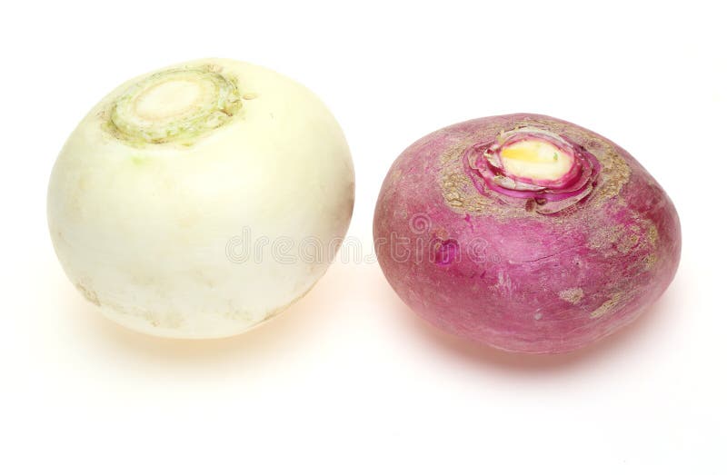 Nabos en un fondo blanco foto de archivo. Imagen de salir - 107771852