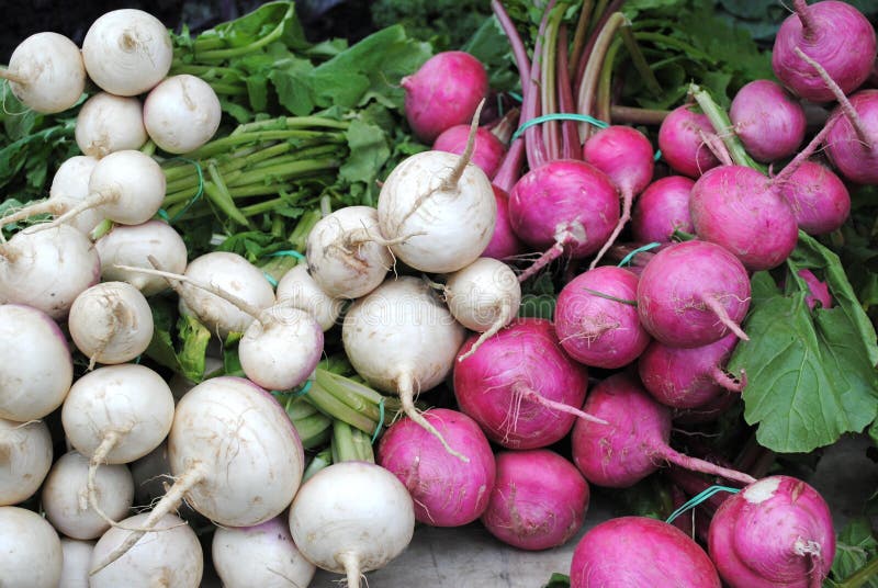 Nabos y remolochas. foto de archivo. Imagen de invierno - 17633788