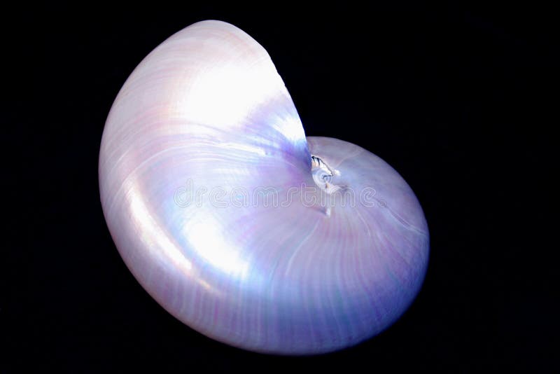 Nacarado foto de archivo. Imagen de lujo, fondo, vida - 1681474