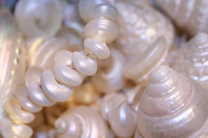 Nacarado imagen de archivo. Imagen de madre, regalo, luminosidad - 962133