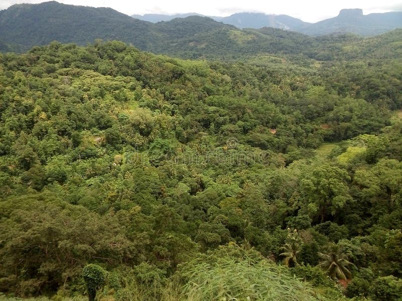 Nachar stock image. Image of kandy, road, nachar, nice - 95506095