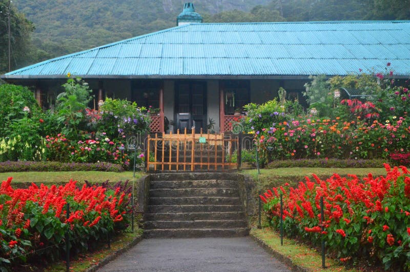 Beauty of Tea Garden - Nature Stock Photo - Image of kerela, garden ...