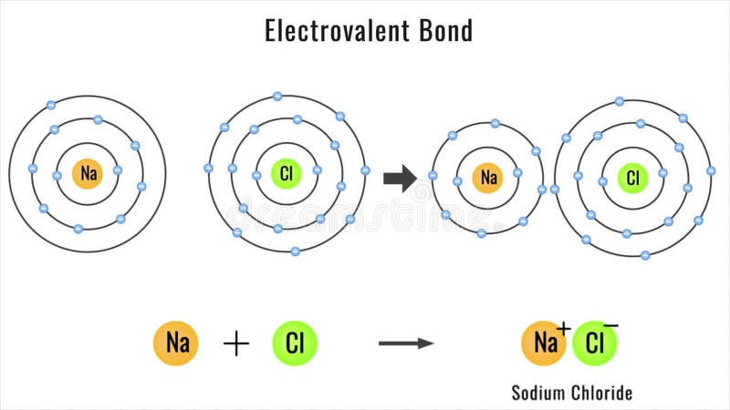 In NaCl, an Electrovalent Bond Forms As Sodium Donates an Electron To ...