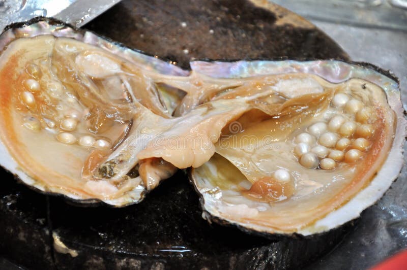 Nacre with raw pearl stock photo. Image of life, mussel - 16143166