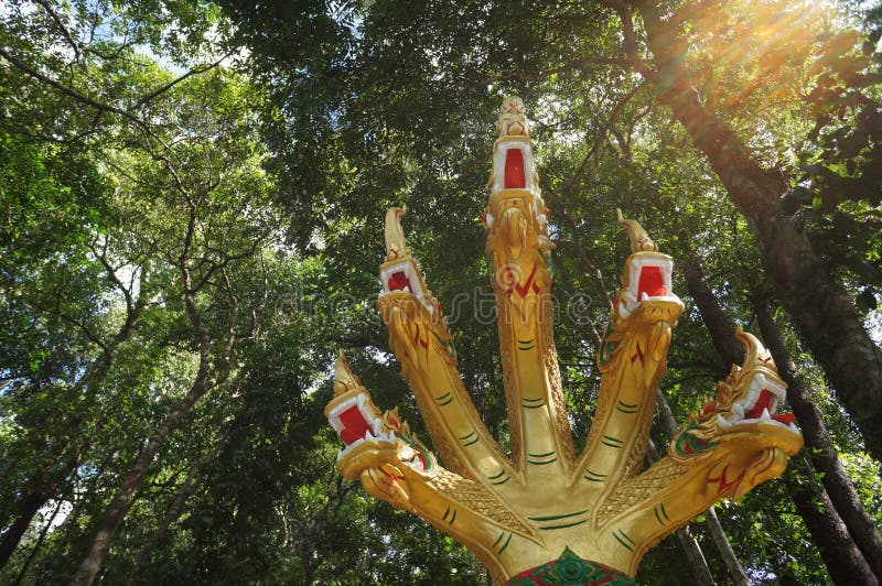 Naga tree stock photo. Image of decoration, religious - 21835030