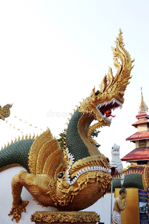 Naga editorial photography. Image of serpent, animal - 91646067