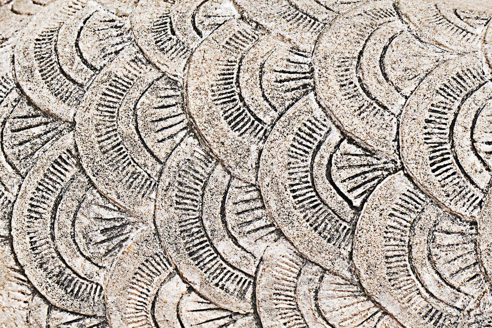 Naga Scale for Pattern and Background Stock Image - Image of decor ...