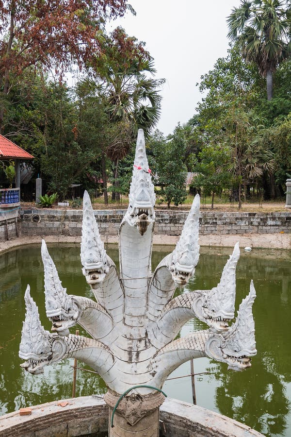 Seven Head Snake Stock Images - Download 116 Royalty Free Photos