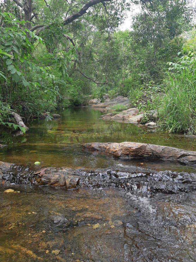 Nagala Stock Photos - Free & Royalty-Free Stock Photos from Dreamstime