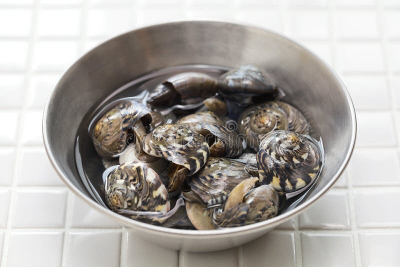 Nagarami, Japanese Sea Snail Stock Photo - Image of japanese, shellfish ...