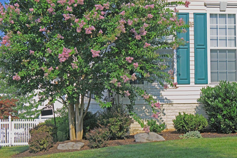 Am?nagement r?sidentiel photo stock. Image du fleurs - 25990824