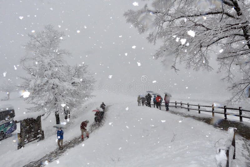 Nagoya snow scene editorial photography. Image of scene - 192137602