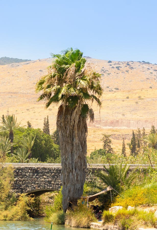 Nahal Hassi - Flows within Kibbutz Nir David. Stock Image - Image of ...