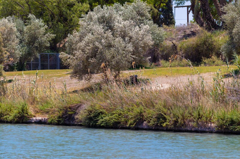 Nahal Hassi - Flows within Kibbutz Nir David Stock Image - Image of ...