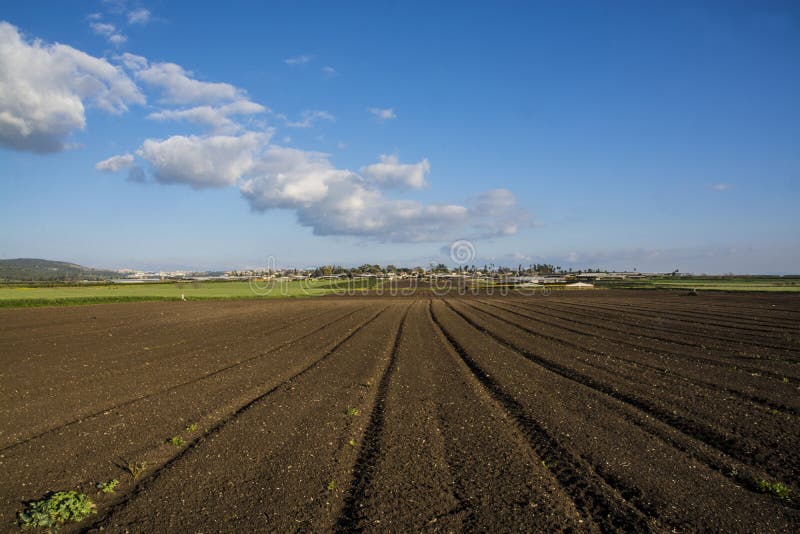 Nahalal Plowed field stock image. Image of israel, white - 50811559