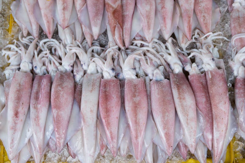 Nahaufnahme Des Kalmarhintergrundes Stockbild - Bild von nachricht ...