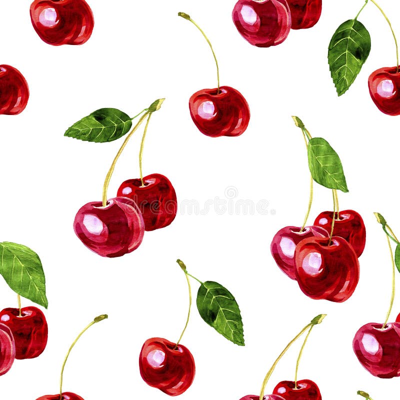 Zwei Kirschen, Die Durch Aquarell Zeichnen Vektor Abbildung ...