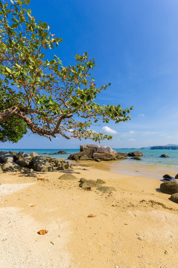 Phuket Nai Yang Beach at Low Tide Stock Image - Image of natural, close ...