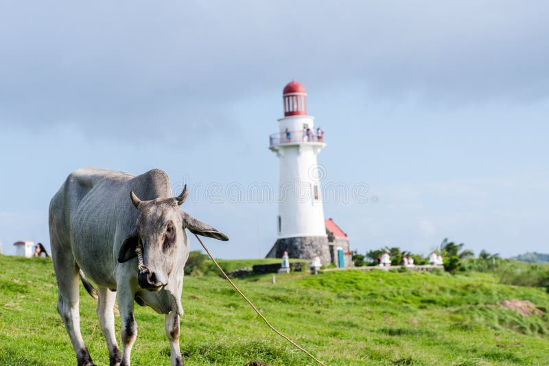 Naidi Lighthouse, Batanes, Philippines Stock Image - Image of batanes ...