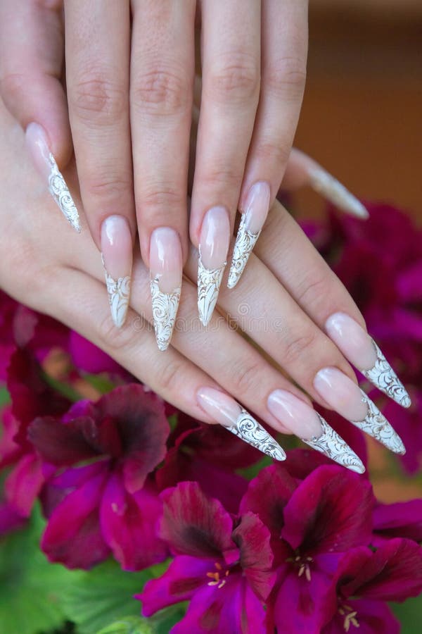 Nail Extension Beautiful Manicure Stock Photo - Image of french ...