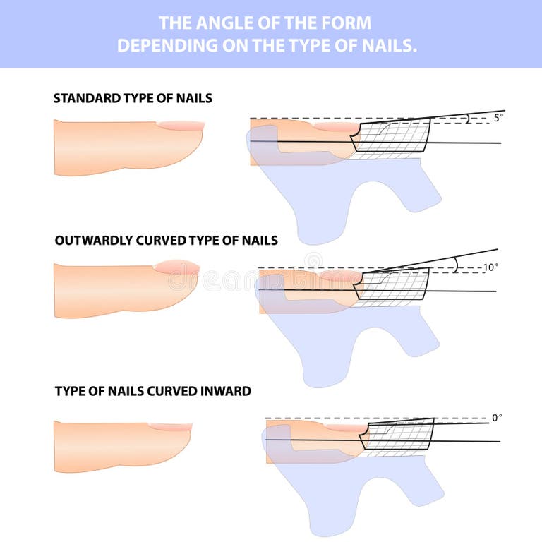 Nail Extension in Shape. How To Apply the Shape of the Nail Stock ...