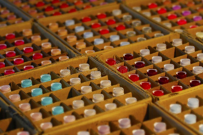 Nail polishes stock photo. Image of polish, colored - 114741690