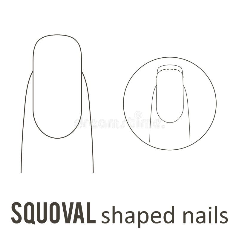 Nail shape squoval stock vector. Illustration of female - 103668393
