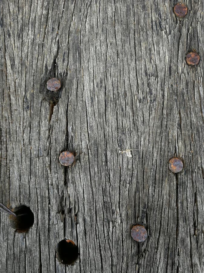 Nail on wood macro stock image. Image of decor, panel - 96185739