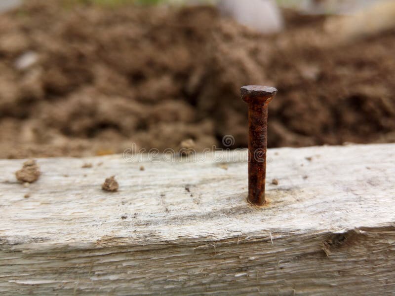 Nail stock photo. Image of wooden, beam, rusty, build - 67893132